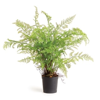 Soft Fern Drop-In 36" - Bed Bath & Beyond - 33195925