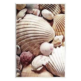 Stupell Various Nautical Clam Conch Shells Wall Plaque Art by Ashley ...