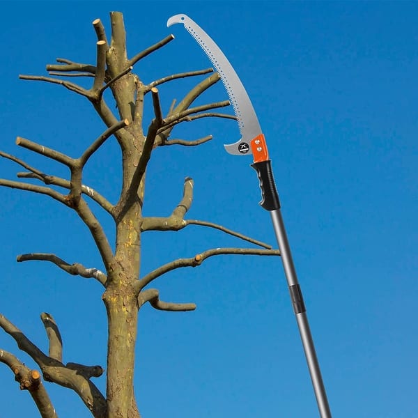 pruning saw pole