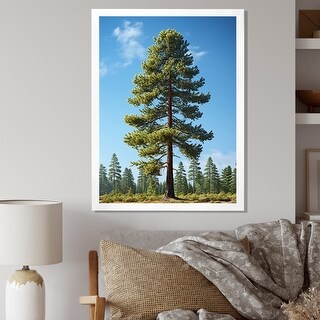 Designart "Proud Pine Tree II" Tree Pine Framed Canvas Art Print - Bed ...