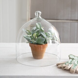 Large Glass Bell Shaped Cloche - 11¾'' dia. x 13''H - Bed Bath & Beyond ...