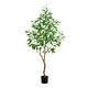 7' Long Leaf Greco Eucalyptus Tree with Real Touch Leaves - Green - Bed ...