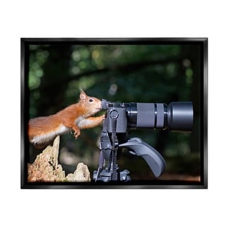 Stupell Funny Squirrel Photographer Framed Floater Canvas Wall Art ...
