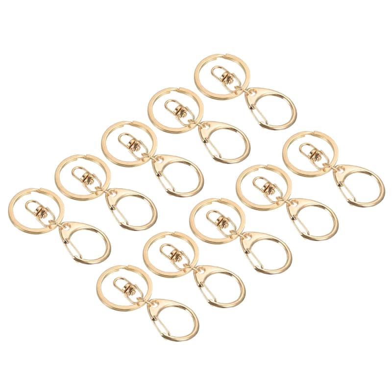 10pcs Key Chain for Keys, D Ring Clasps Keyring Holder, Gold ...