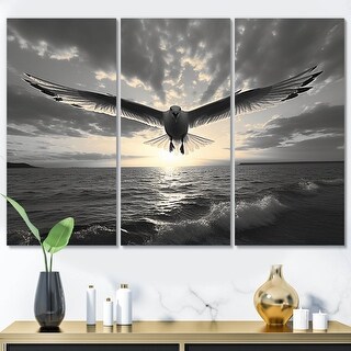 Designart "Grey Beach Seagulls In Flight V" Animals Canvas Prints Set ...
