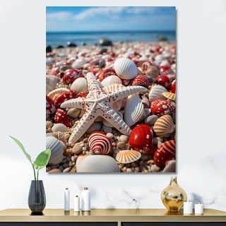 Designart "Coastal Shells In The Beach II" Seashell Canvas Wall Art ...