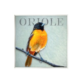 Stupell Detailed Oriole Bird Portrait Perched Wildlife Animal Wood Wall ...