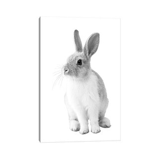 iCanvas "Mono Bunny" by Pixy Paper Canvas Print - Bed Bath & Beyond ...