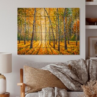 Designart 'Sunny Autumn Forest Landscape' Traditional Wood Wall Art ...