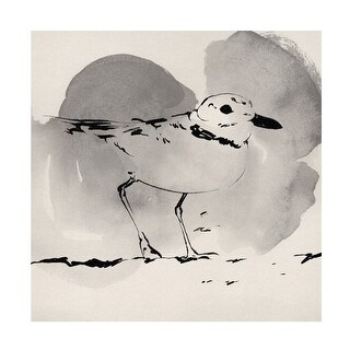 Jacob Green 'Inky Plover I' Canvas Art - Bed Bath & Beyond - 39539864