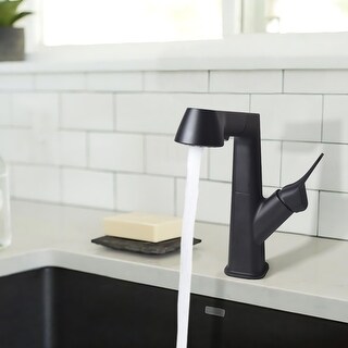 Single-handle Bathroom Sink Faucet with Pull Out Spray Liftable Dual ...