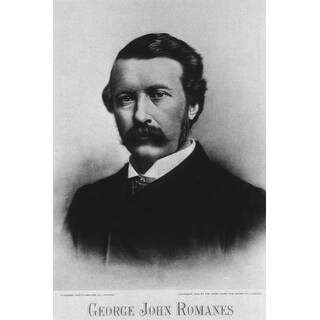 George John Romanes History - Bed Bath & Beyond - 24396705