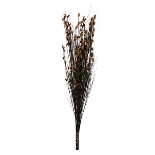 Vickerman 36-40" Autumn Bell Grass with Seed Pods, 8-9 oz Bundle ...