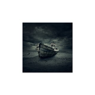 Wreck Print On Acrylic Glass by Zoltan Toth - Bed Bath & Beyond - 37541887