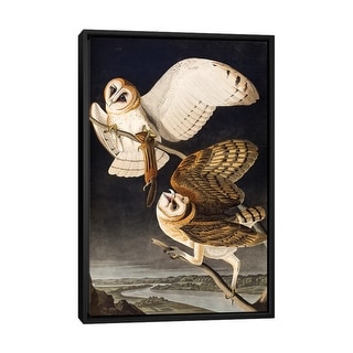 iCanvas "Barn Owl (Audubon Commission)" by Joseph Bartholomew Kidd ...