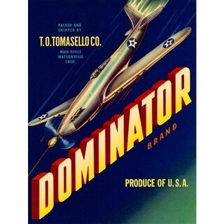 Dominator Airplane Shooting with ii Poster Print (18 X 24) - Bed Bath ...