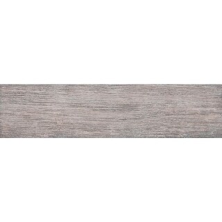 Charleston 6x24 Betulla Matte Porcelain Plank Tile - Floor & Wall ...