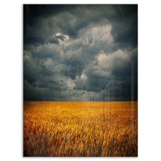 Stormy Clouds Over Wheat Field - Landscape Glossy Metal Wall Art - Bed ...