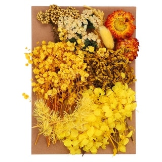 Natural Dried Flowers Multiple Real Dried Pressed Flowers Plant Yellow ...