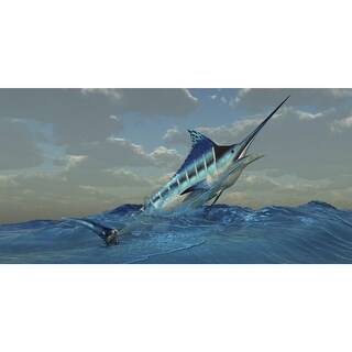 A Blue Marlin Bursts From Ocean Waters. The Blue Marlin Is A Predator ...
