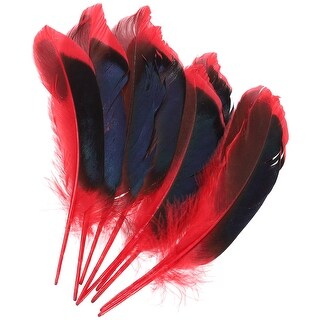 4-6 Inch Natural Feathers 150 Pack Bulk Feathers for Crafts Style 1 ...