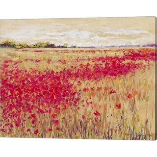 Jennifer Gardner 'Poppies' Evening Light I' Canvas Art - Bed Bath ...