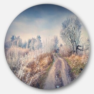 Designart 'First Frost in Forest' Landscape Photography Disc Metal ...