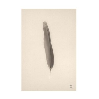 Nathan Larson 'Floating Feathers II Sepia' Canvas Art - Bed Bath ...