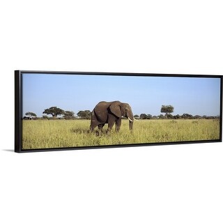 "Elephant Tarangire Tanzania Africa" Black Float Frame Canvas Art - Bed ...