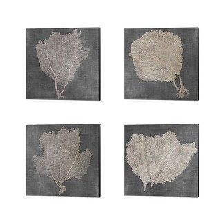 Vision Studio 'Natural Sea Fan' Canvas Art (Set of 4) - Bed Bath ...