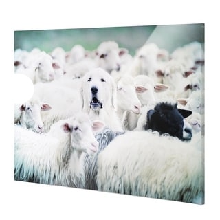 Good Shepherd Dog with Sheep Glossy Canvas Wall Art Print - 36" x 24 ...