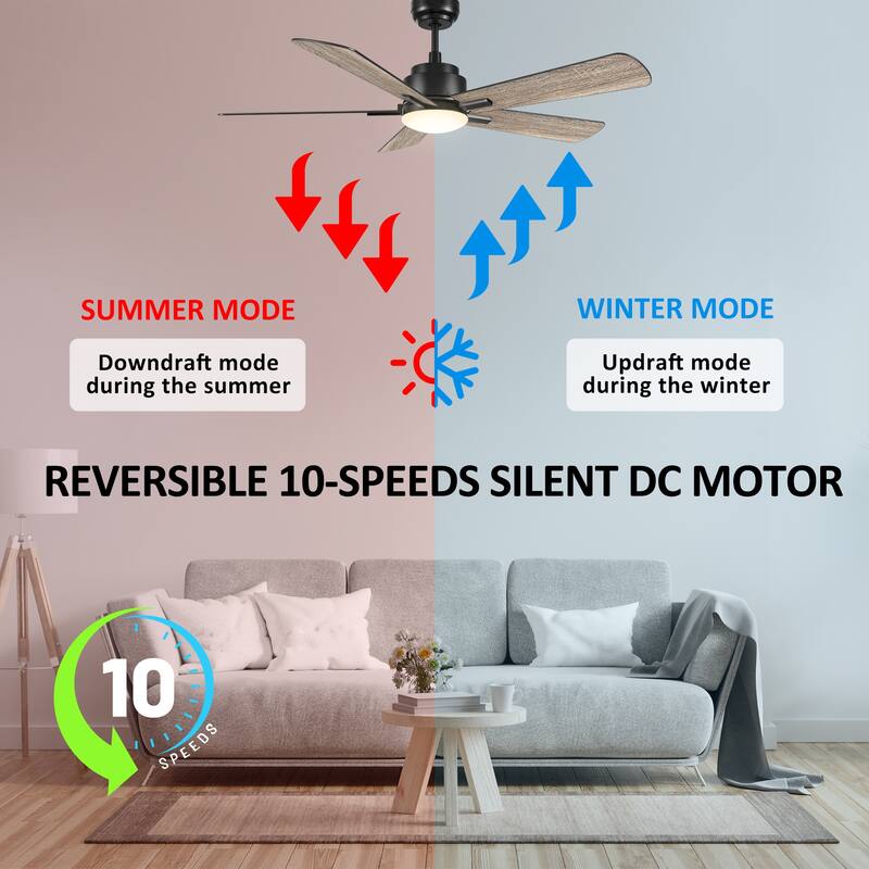 Elliott 52-inch Indoor/Outdoor Smart Ceiling Fan, Dimmable LED Light ...