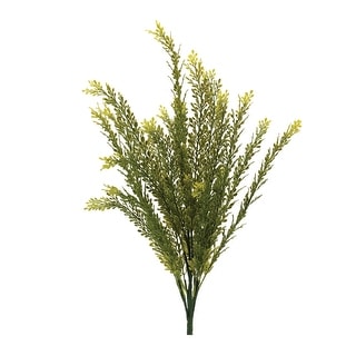 Baby Tears Foliage Bush (Set of 6) - Bed Bath & Beyond - 42960919