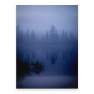 Dan Ballard 'Foggy Reflection' Floating Brushed Aluminum Art - Bed Bath ...