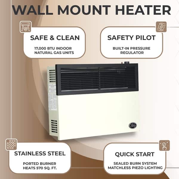 Ashley Hearth Products 17,000 BTU Direct Vent Liquid Propane Wall Mount ...