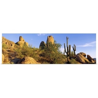 "Sonoran Desert AZ" Poster Print - Bed Bath & Beyond - 16872263