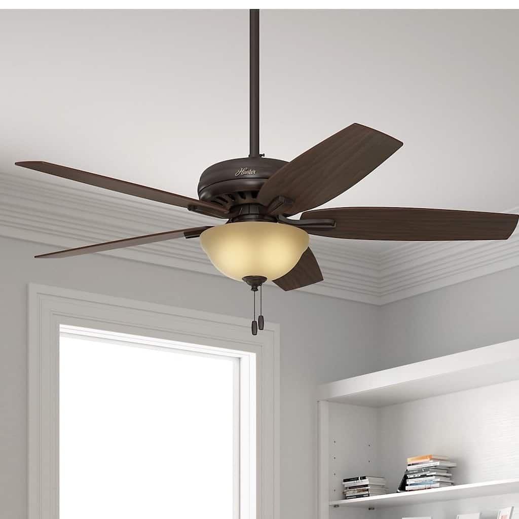 Hunter Fan Newsome Collection 56-inch Premier Bronze with 5 Roasted ...