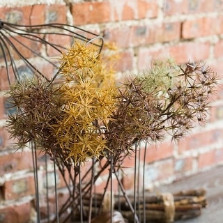 RusticReach Star Thorn Plant Stem 18" Tall (Set of 3) - Bed Bath ...