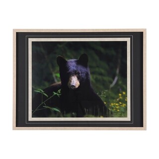 Bear Framed Art Print - Bed Bath & Beyond - 39192301
