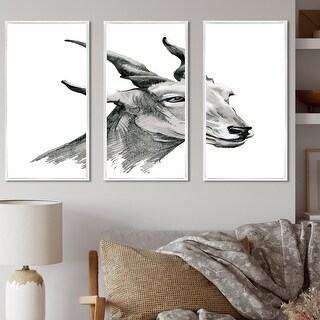 Designart "Monochrome Graphite Portrait Of A Goat" Traditional Framed ...