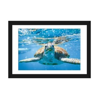 iCanvas "Vis A Vis With The Turtle" by Matteo Colombo PFA - Bed Bath ...