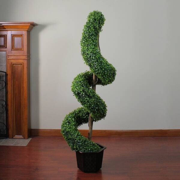 potted topiary trees