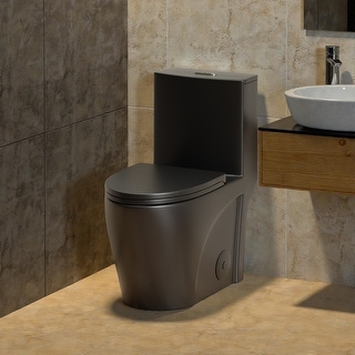 Tornado Flush One-Piece Toilet with Dual Flush, Soft-Close Seat, ADA ...