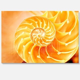 Yellow Nautilus Shell - Abstract Art Glossy Metal Wall Art - Bed Bath ...