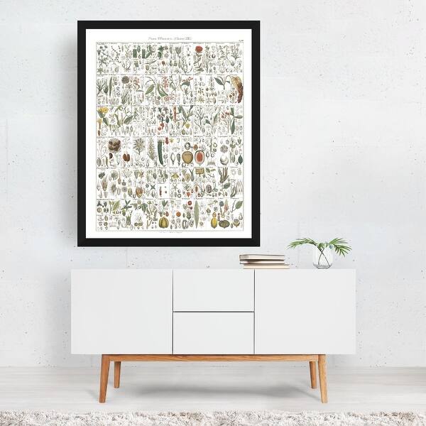 Flora Chart II White Illustrations Botanical Nature Art Print/Poster ...