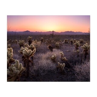 Phoenix Arizona Obstacle Course Photography American Art Print/Poster ...