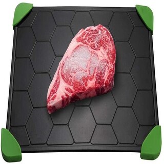Portable Thaw Plate Safer and Rapid of Thawing Food - Bed Bath & Beyond ...