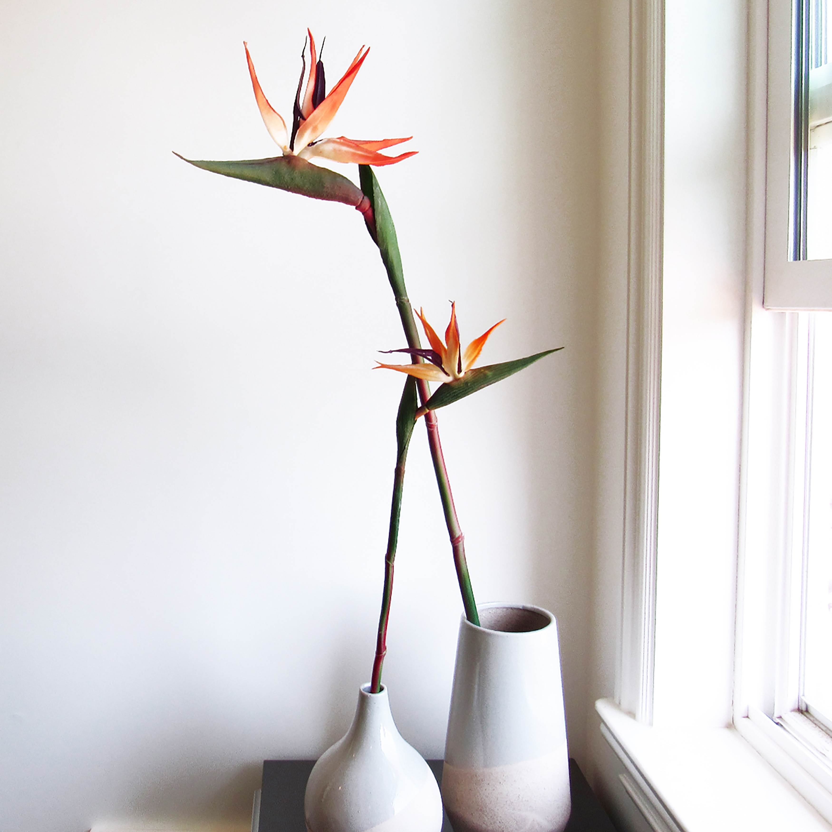 Set of 4 Real Touch Orange Artificial Bird of Paradise Flower Stem ...