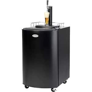 beer kegerator