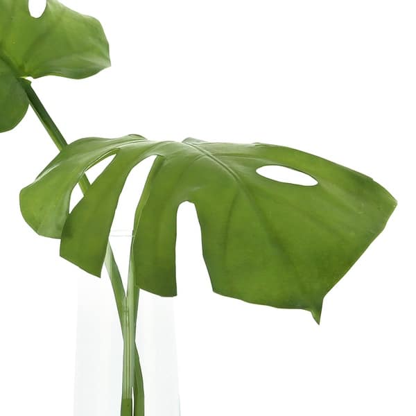 Organic Modern Philo Leaf Arrangement in a Clear Glass Vase - Green - Bed Bath & Beyond - 39876273